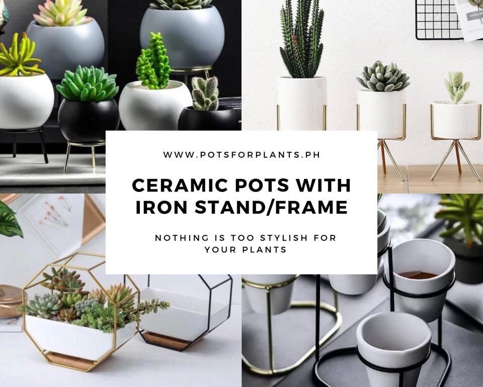 Ceramic Pots with Iron Stand/Frame – Pots For Plants