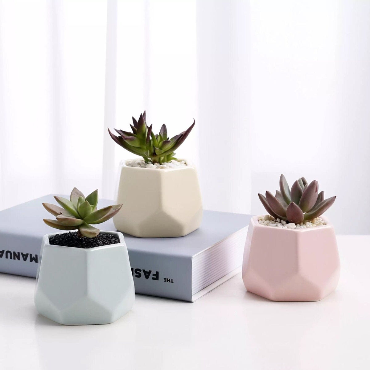 Pastel Colored Pots Collection – Pots For Plants