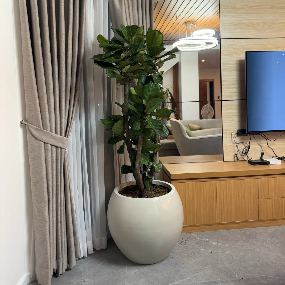 RUBY Round Fiberglass Planter – Pots For Plants