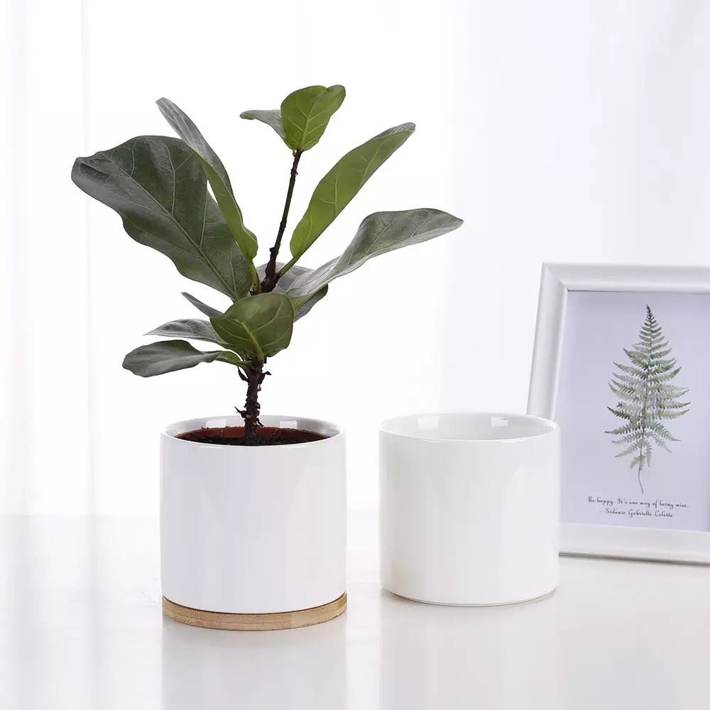 4.5” Height Cylinder Porcelain Ceramic Pot With Catch Plate (Set-of-Tw ...