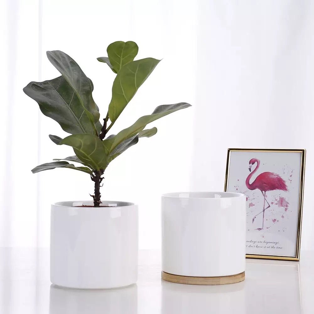 4.5” Height Cylinder Porcelain Ceramic Pot With Catch Plate (Set-of-Tw ...