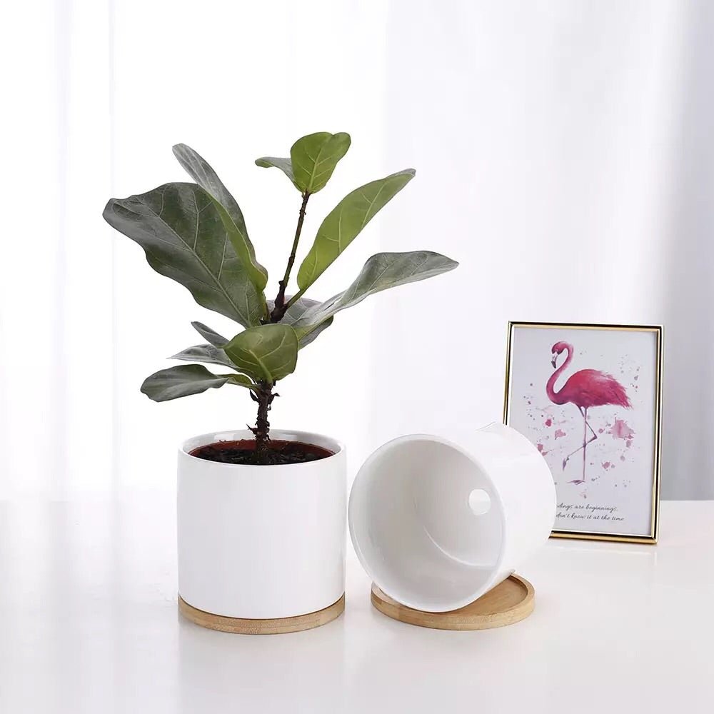 4.5” Height Cylinder Porcelain Ceramic Pot With Catch Plate (Set-of-Tw ...
