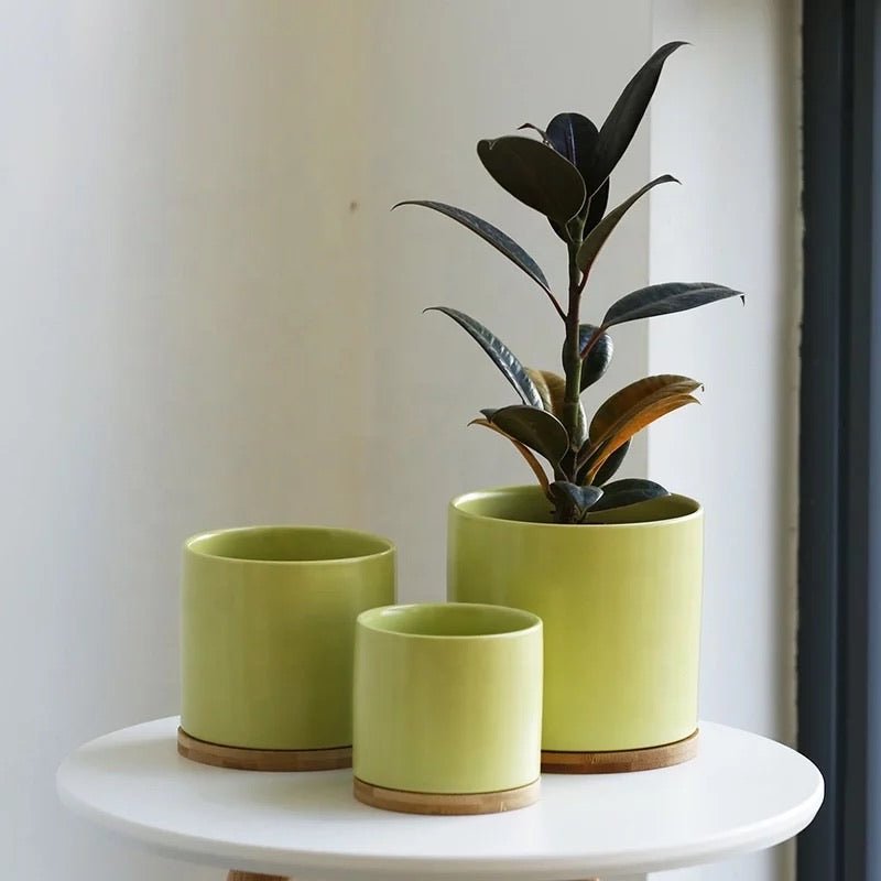 Cylinder Porcelain Ceramic Pots (Set of Three) with Bamboo Catch Plate ...