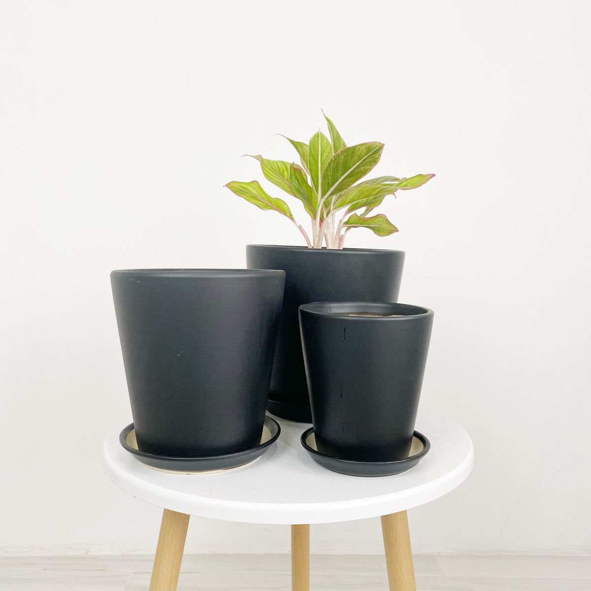 ES1256 Cone Shaped Glazed Clay Earthenware Ceramic Desk Pot – Pots For ...