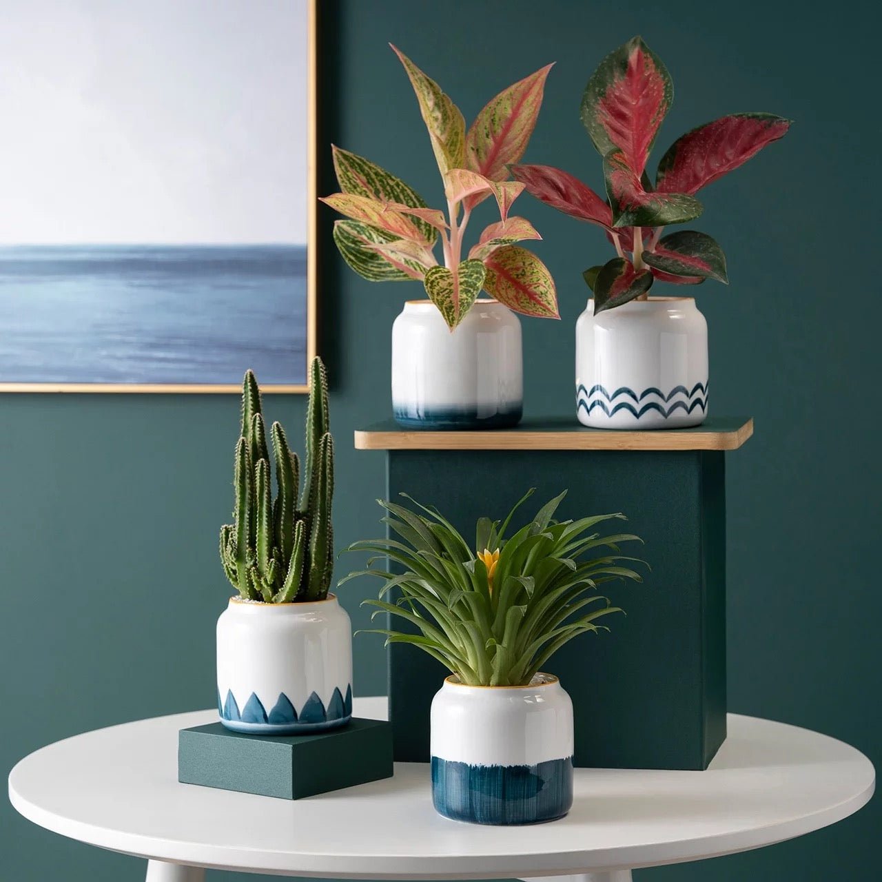 Hand Painted Succulent Ceramic Desk Pots – Pots For Plants