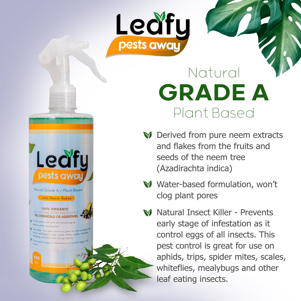 Leafy Pest Away – Pots For Plants