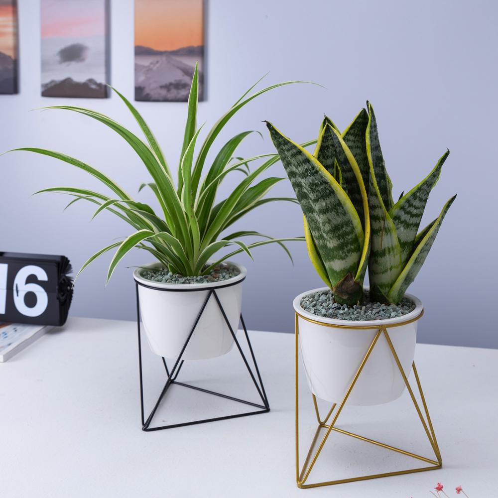 Porcelain Ceramic pot With Triangular Shape Iron Stand – Pots For Plants