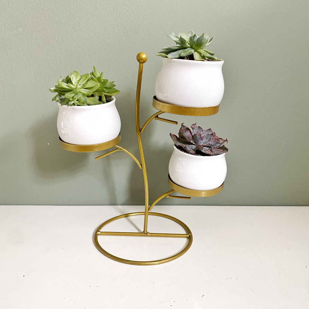Round Porcelain Desk Pots with Iron Stand – Pots For Plants