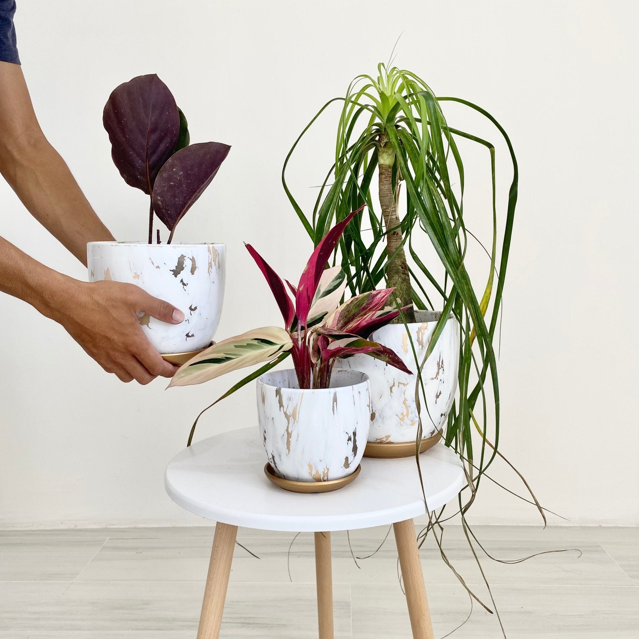 Rustic Marbled Finish Ceramic Table Pot with Saucer (Set of Three ...
