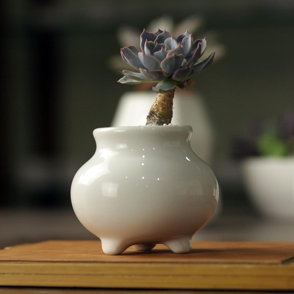 Succulent Zen Porcelain Pot – Pots For Plants