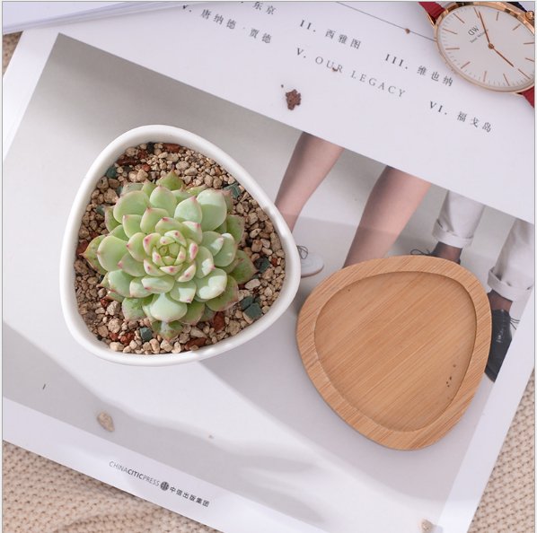 Token Size Triangular Porcelain Pot with Bamboo Saucer – Pots For Plants