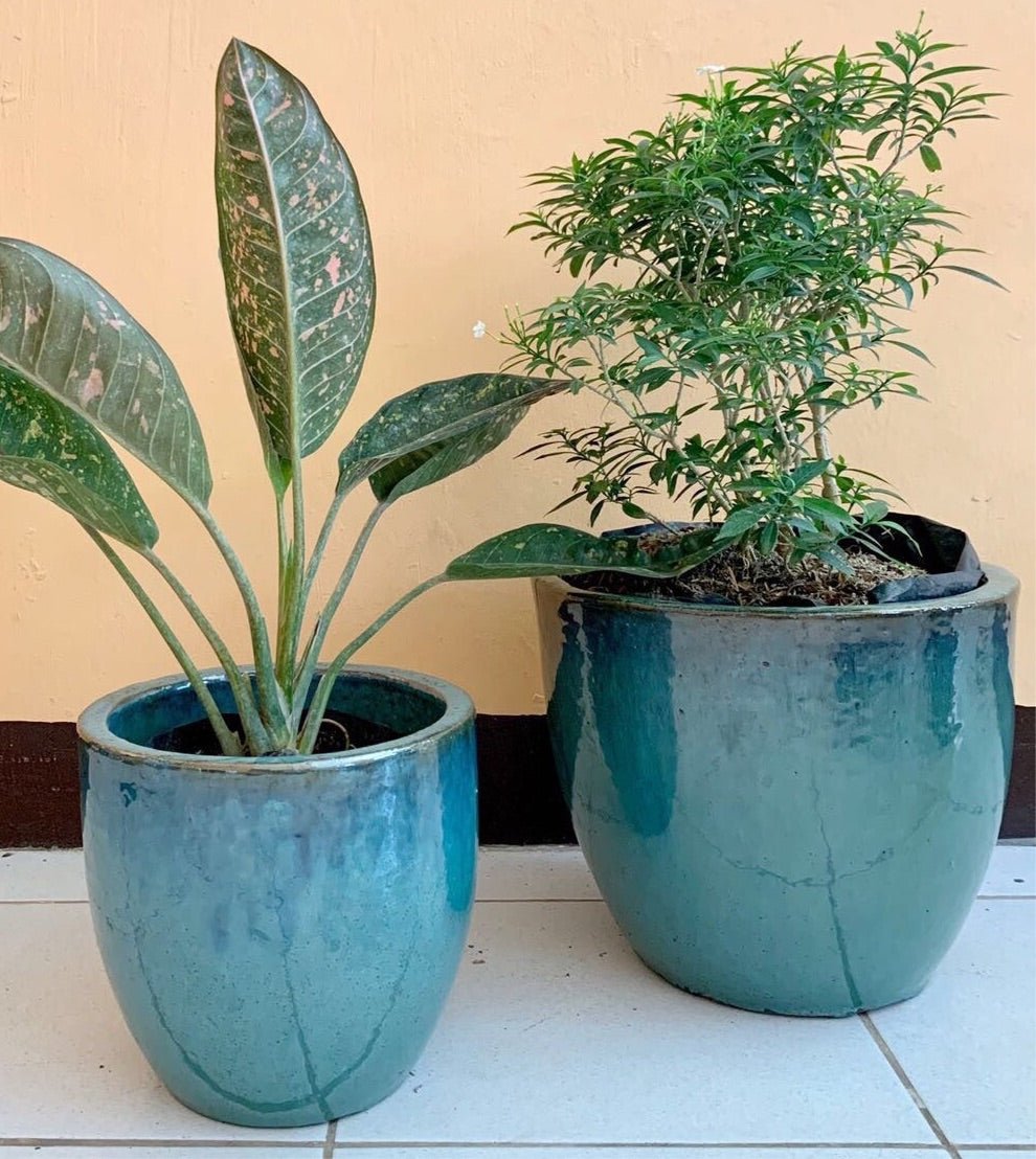 Turquoise Round Vietnam Glazed Earthenware Ceramic Pot – Pots For Plants